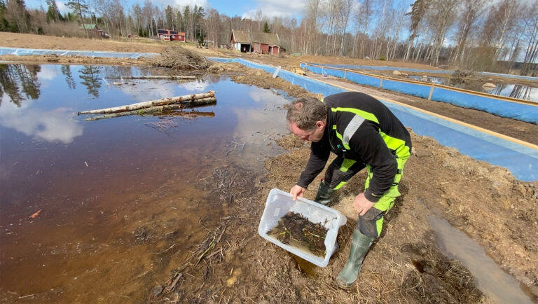 Naturcentrum – Stort intresse för groddjursflytt i Mariestad